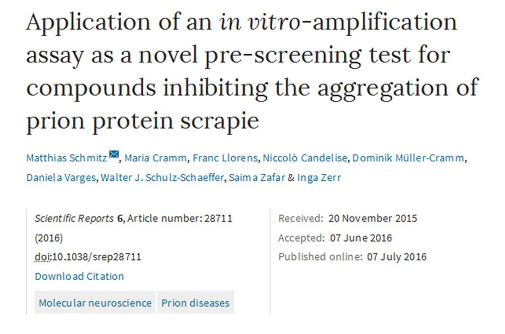 Application of an in vitro-amplification assay as a novel pre-screening ...